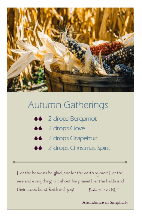Autumn Gatherings Diffuser Blend • Abundance in Simplicity