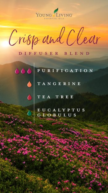 Crisp and Clear Diffuser Blend • Abundance in Simplicity