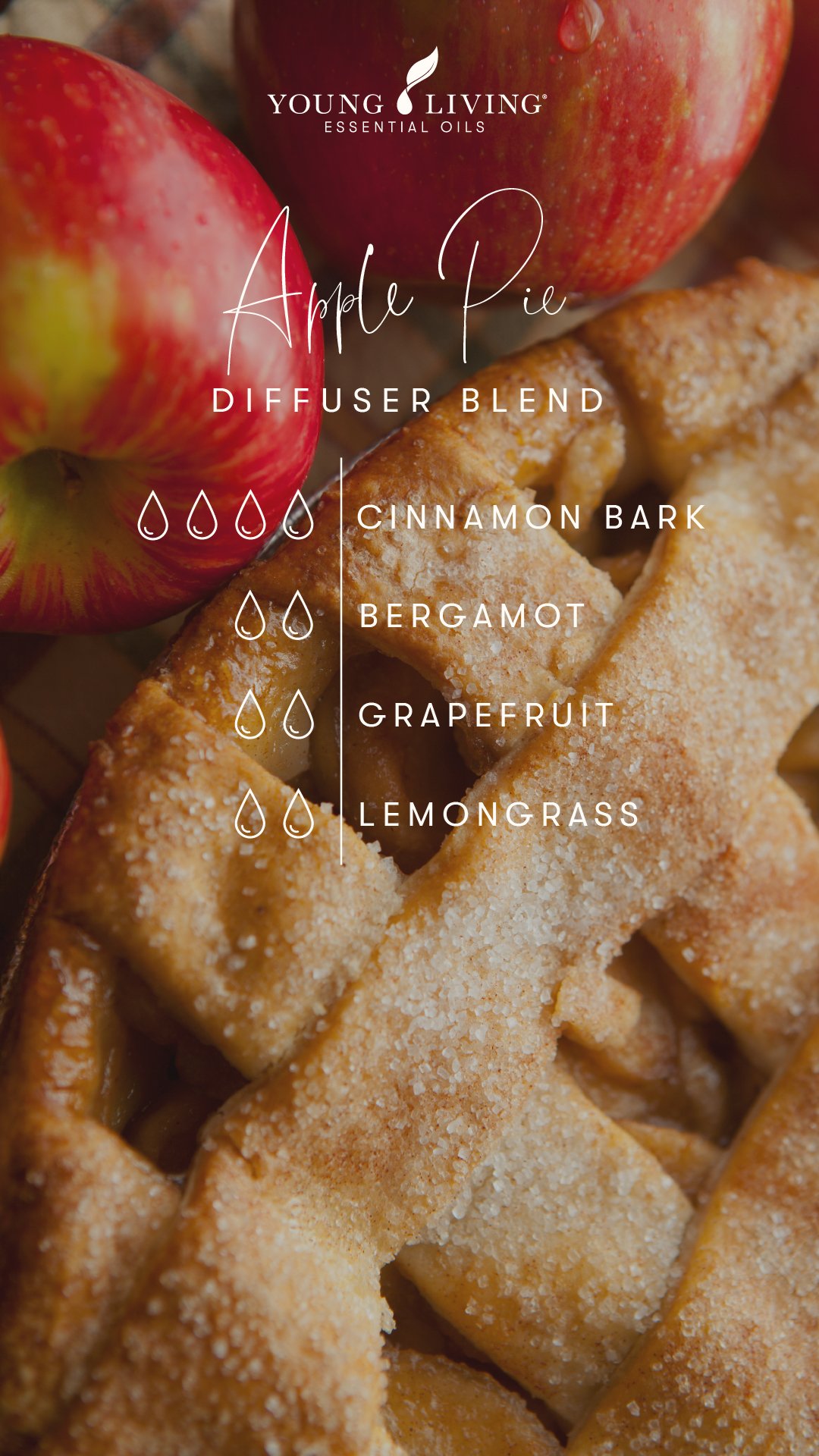 Apple Pie Diffuser Blend