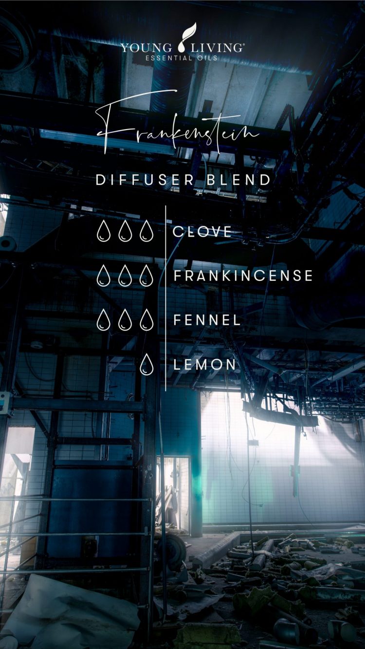 Frankenstein Diffuser Blend • Abundance in Simplicity