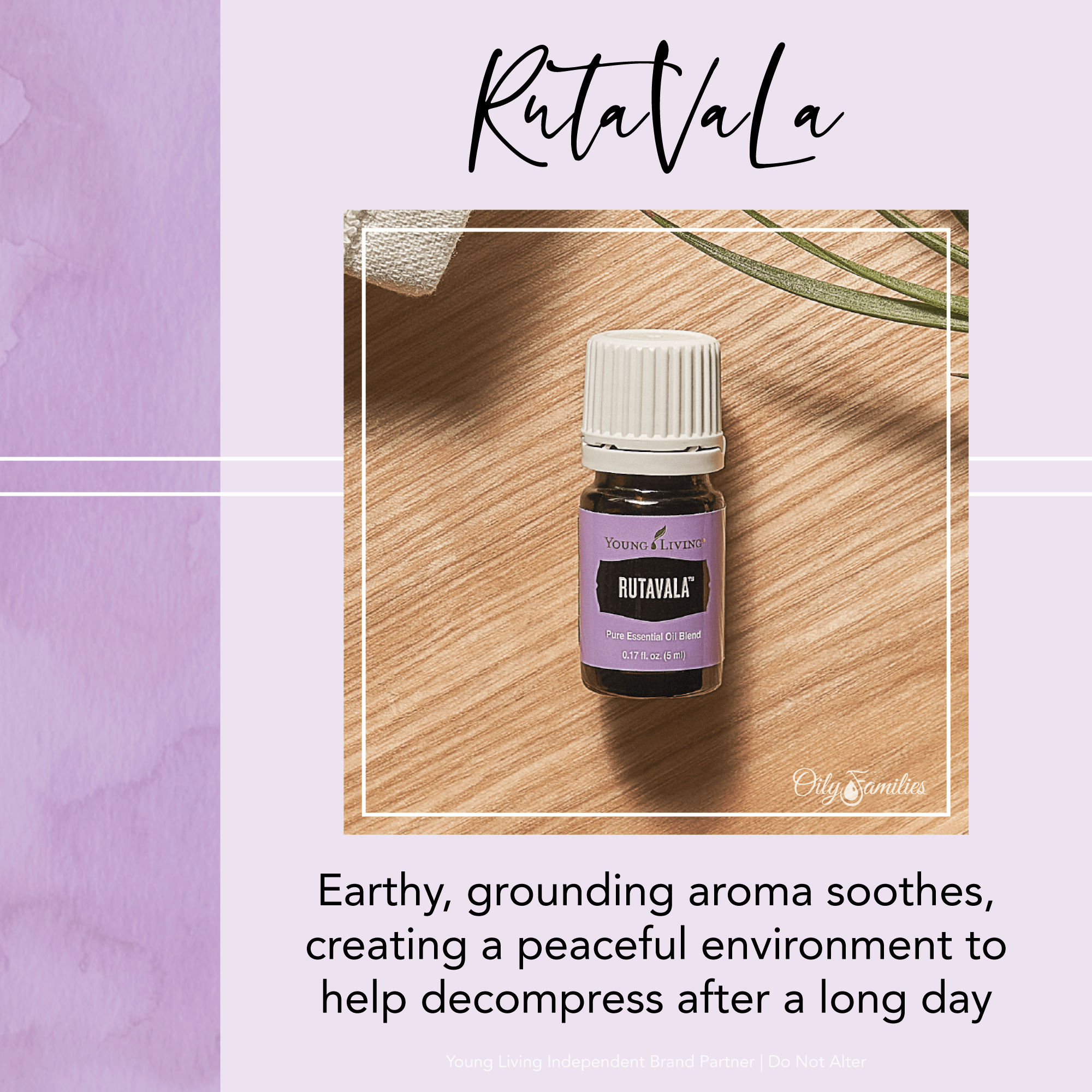 RutaVaLa Essential Oil • Abundance in Simplicity