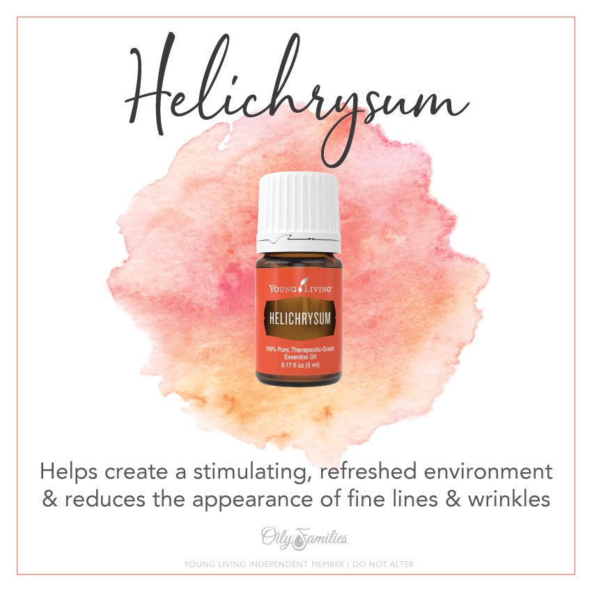 Helichrysum Essential Oil • Abundance in Simplicity