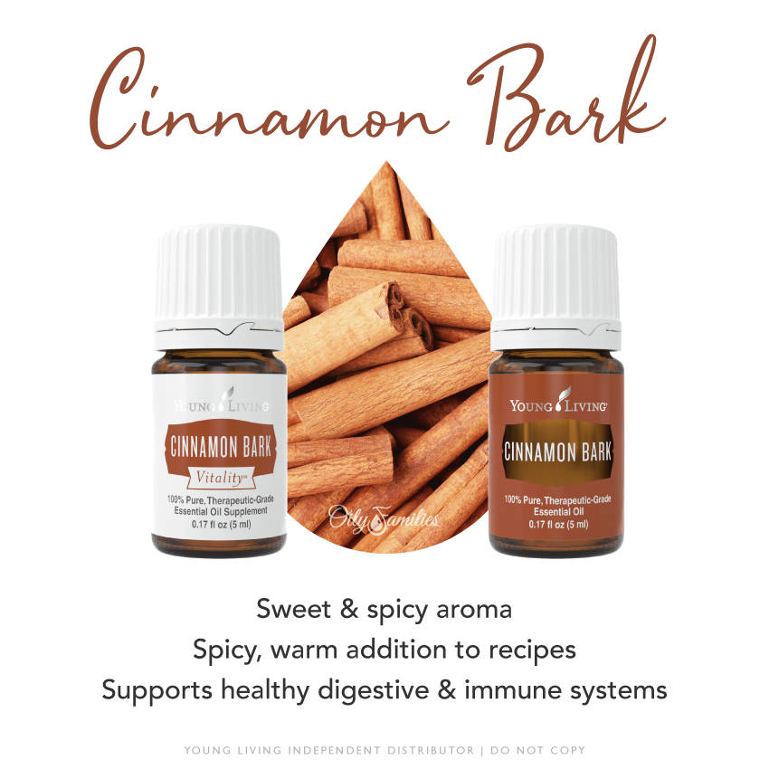 Cinnamon Bark Essential Oil • Abundance in Simplicity