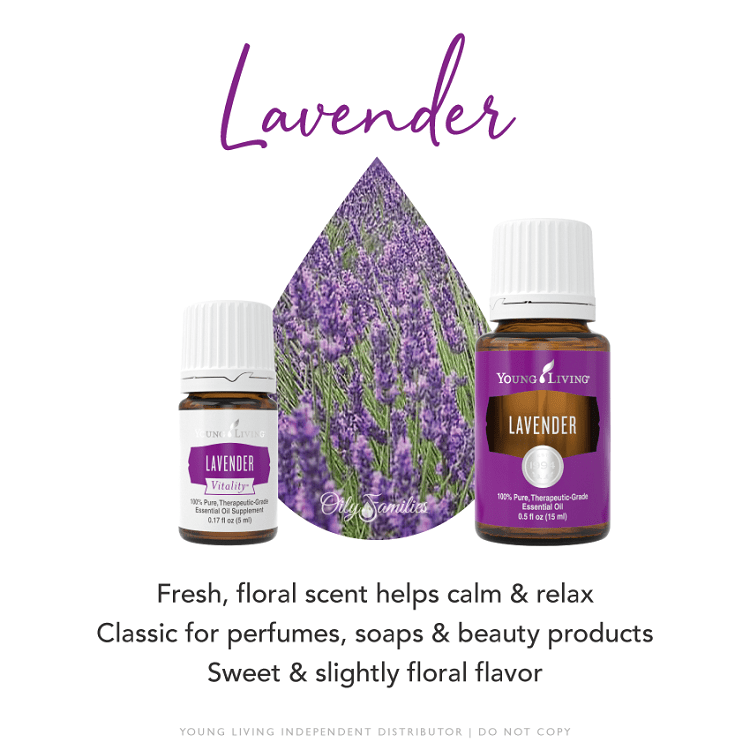 Lavender Essential Oil • Abundance in Simplicity