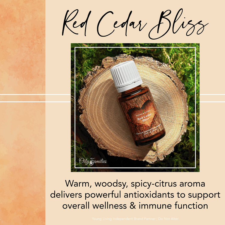 Red Cedar Bliss Essential Oil • Abundance in Simplicity