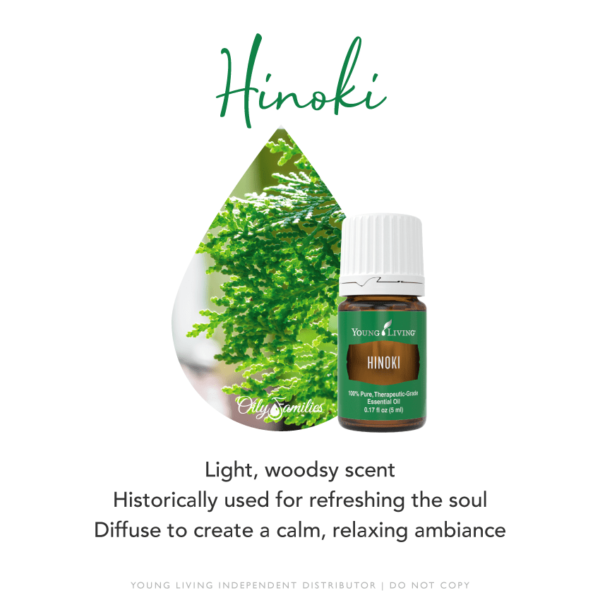 Hinoki Essential Oil • Abundance in Simplicity