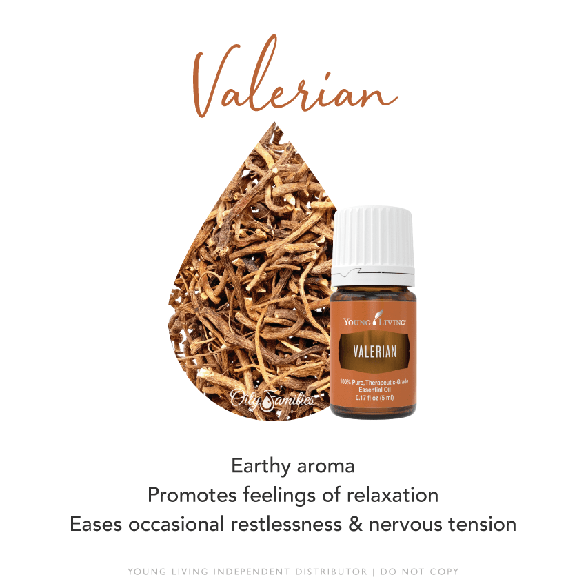 Valerian Essential Oil • Abundance in Simplicity